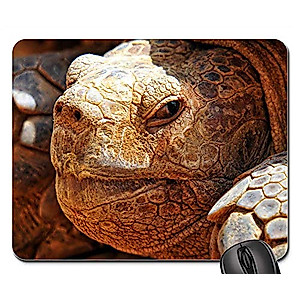 Mouse Pad - Turtle Criss-Crossed Africa Senegal Tortie Carapace