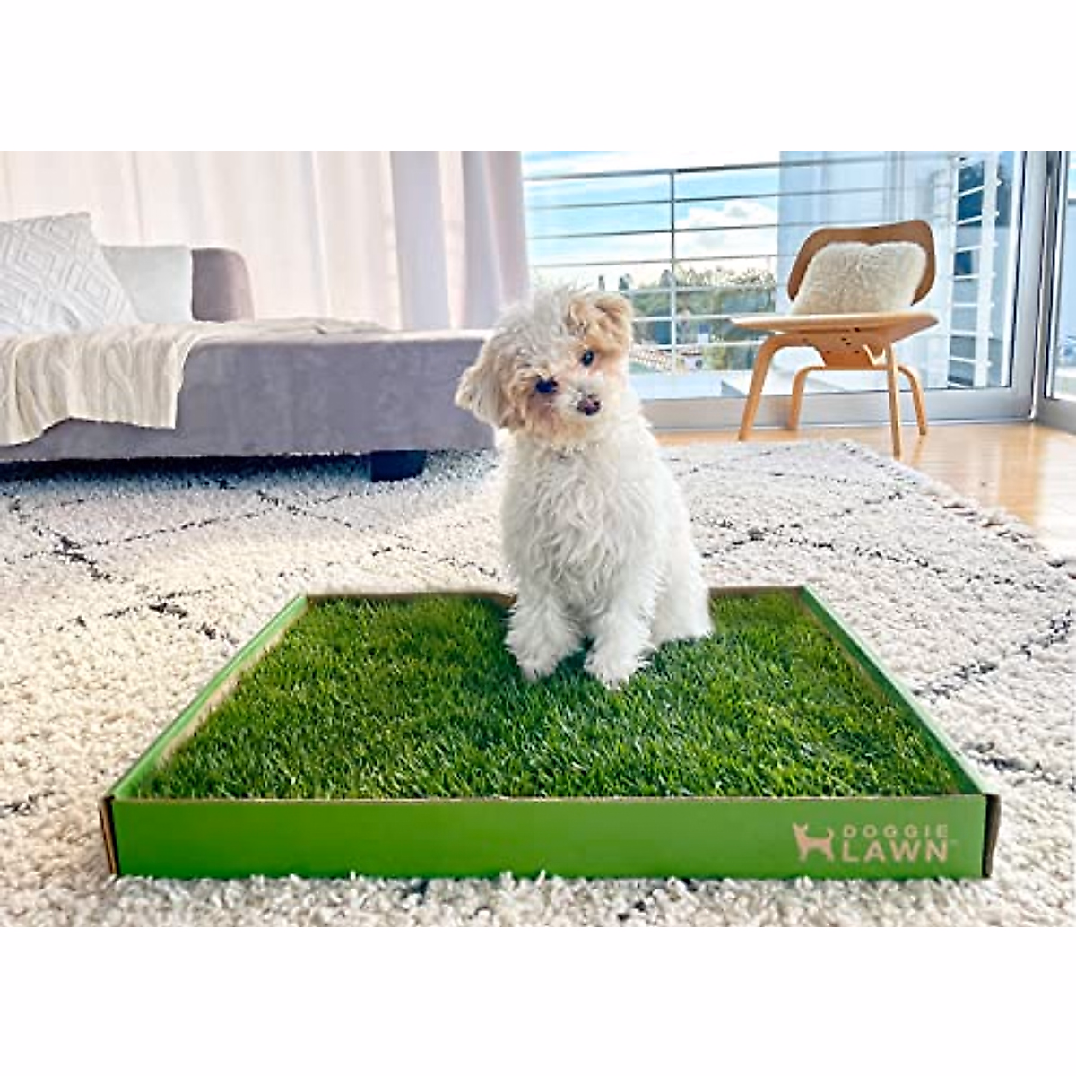 DoggieLawn Real Grass Puppy Pee Pads- 24 x 20 Inches - Perfect Indoor Litter Box for Dogs - No Mess, Easy-to-Use - Potty Training for Pets - Eco-Friendly Disposable Bathroom with Real Living Grass