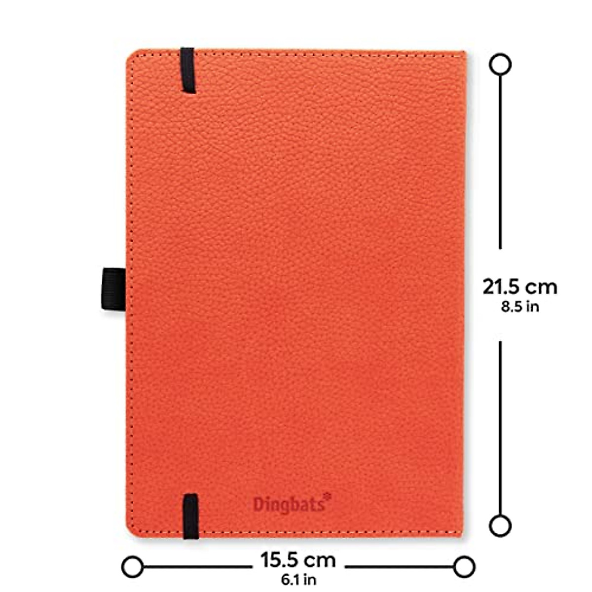Dingbats A5 Wildlife Notebook Journal Hardcover, Cream 100gsm Ink-Proof Paper, 6.1 x 8.5 inches, 192 pages (Orange Tiger, Lined)