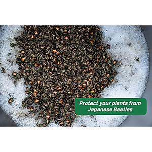 RESCUE! Japanese Beetle Trap – Reusable Bag