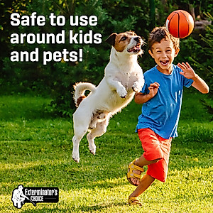 Exterminator’s Choice - Bee and Wasp Defense Spray - One Gallon - Natural, Non-Toxic Bee and Wasp Repellent - Quick and Easy Pest Control - Safe Around Kids and Pets