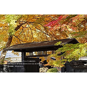 Canon DSLR Camera EOS Kiss X7 (White) with EF 40mm F2.8 STM + EF-S 18-55mm F3.5-5.6 IS STM - International Version (No Warranty)