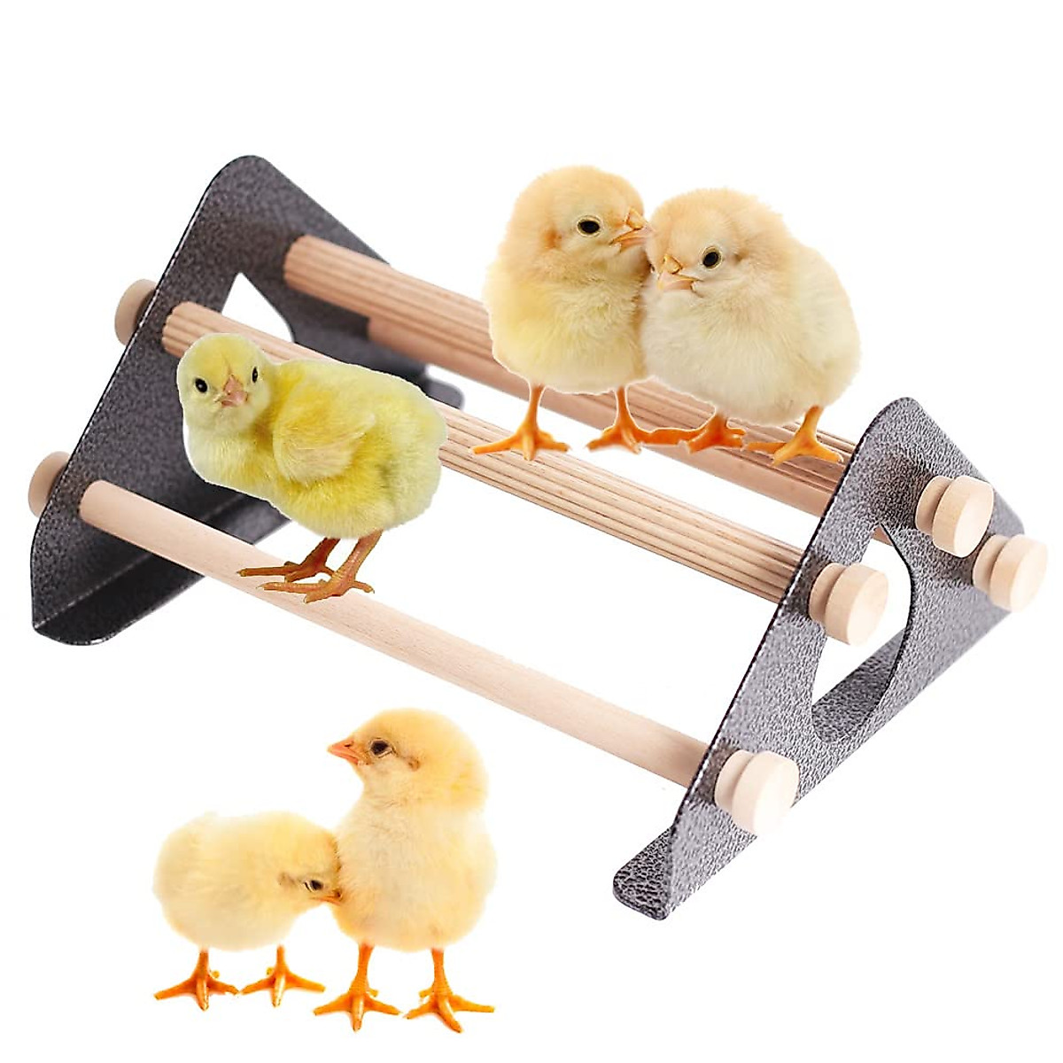 Baby Chick Perch, Durable Natural Wooden Roosting Bar for coop and brooder, Training Chicken Roosting Perches for Mini Baby Chicks, Metal Frame Easy to Assemble and Clean, Fun Toys for Chick