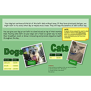 Petfir Pack Kefir for Dogs and Cats Supplement Pets probiotic dog advanced probiotic formula for dog (50 gr)