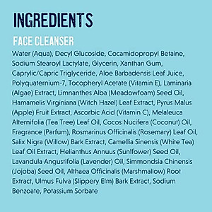 Young King Skin Care Hydrating Face Cleanser | Hydrates and Balances Skin | Plant Based and Vegan Friendly | 6 oz (Pack of 2)