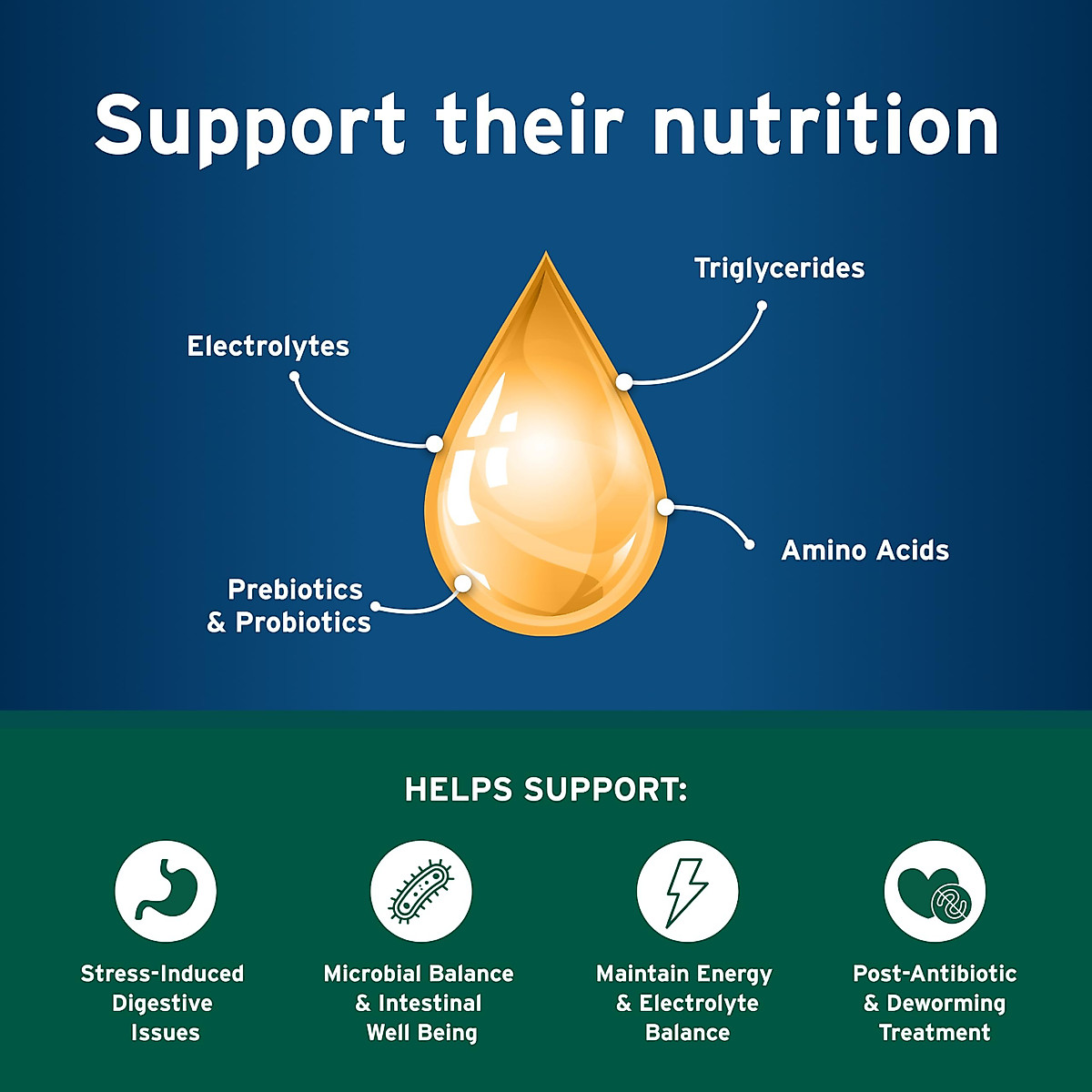 Pet Protect from The Makers of Advantage Vet-Formulated Probiotic Balance+ Cat Supplement | Oral Gel | 15g