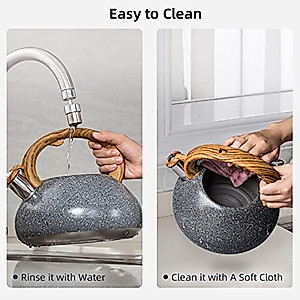 Tiilan Whistling Tea Kettle, Tea Pot for Stovetop - Stainless Steel, Wood Grain Handle, with Spout - 2.7 Quart/3 Liter, Gray