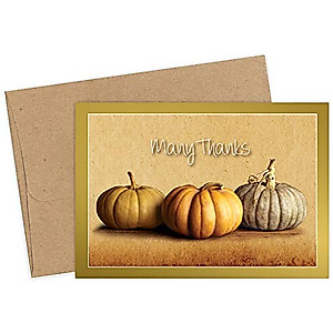 Fall Pumpkins Thank You Note Cards & Envelopes - 50 Cards & Envelopes - Features Gold Foil Highlights!