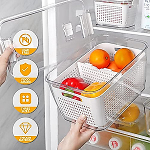 Fruit Storage Containers for Fridge, 3 Pack Produce Saver Containers 10 Pack BPA FREE Reusable Freezer Bags, Vegetable Fruit Container Storage Reusable Lunch Bag for Meat Fruit