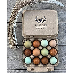 Vintage Blank Egg Cartons- Classic 3x4 Style Holds 12 Large Eggs, Sturdy Design Made from Recycled Cardboard (25)