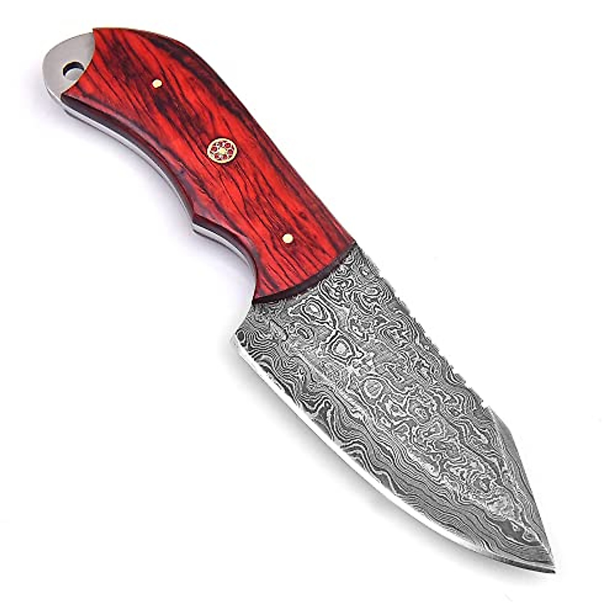 Handmade Damascus Steel Hunting Skinning Knife with Leather Sheath | 8'' Hand Forged Full Tang Fixed Blade Damascus Knives For Men and Women | EDC Razor Sharp Blade Bushcraft Camping Survival Knifes with Belt loop for Vertical and Horizontal Carry Red woo