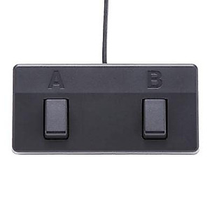 Boss Acoustic Singer Pro 120-Watt Bi-Amp Acoustic Combo with FX