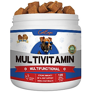 Dog Multivitamin Supplement with Glucosamine, Probiotics, Fish Oil - Promotes Healthy Skin and Coat, Supports Joint Health, Allergy Relief and Digestive Function