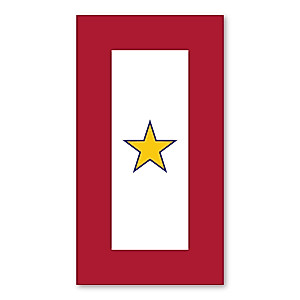 Gold Star Service Flag Magnet by Magnet America is 5.5" x 3" Made for Vehicles and Refrigerators