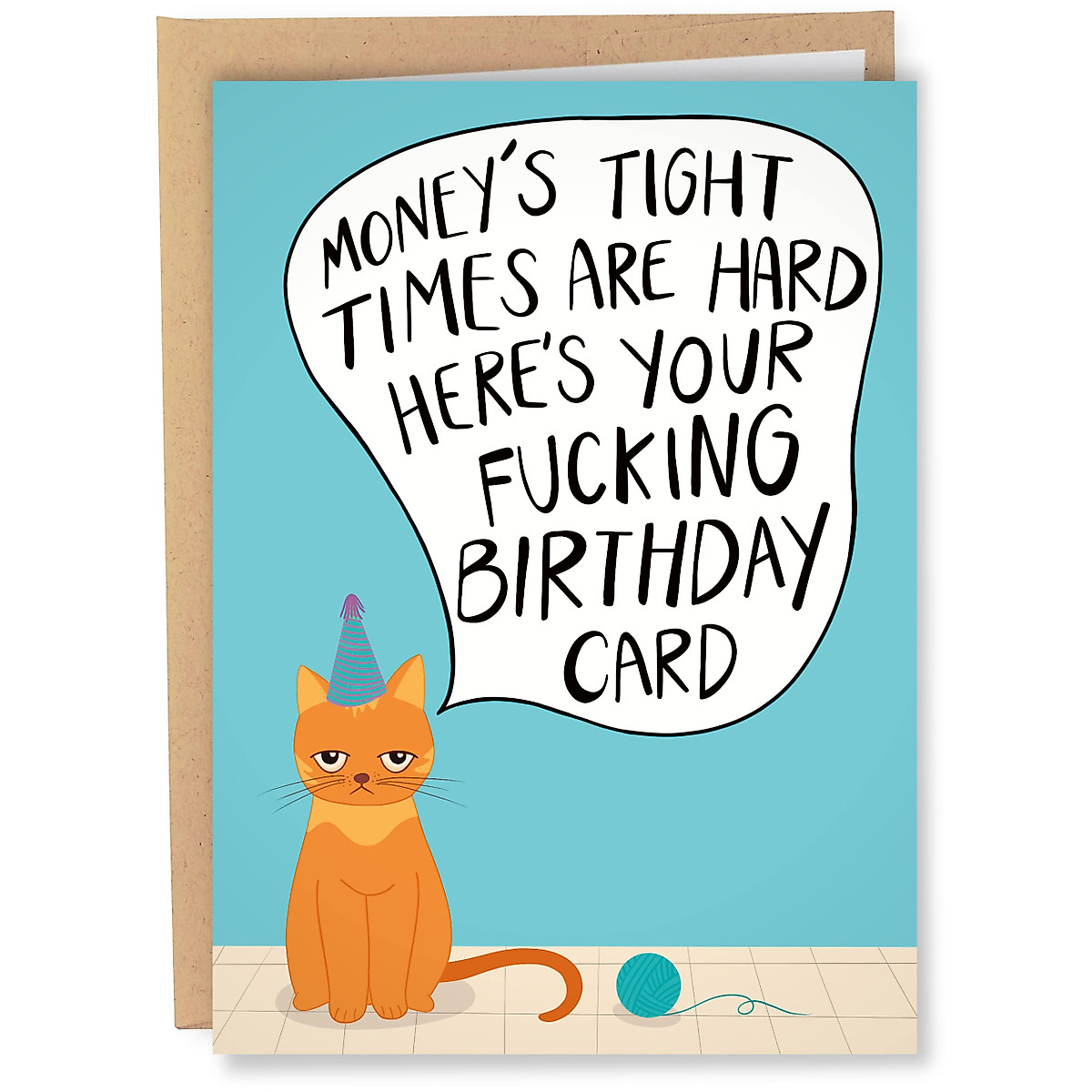 Sleazy Greetings Funny Birthday Card For Him Her | Rude Funny Cat Birthday Card For Men Women | Dirty Cat Bday Card For Wife Husband Boyfriend Girlfriend | Birthday Money's Tight Times Are Hard Card