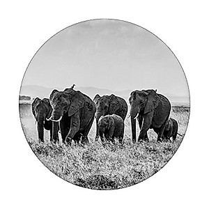 Elephants PopSockets PopGrip: Swappable Grip for Phones & Tablets