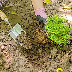 Stainless Steel Trowel, Garden Small Flower Hand Shovel, Potting Soils Scoop with Wood Handle, Gardening Bonsai Tools for Transplanting Digging Weeding Planting