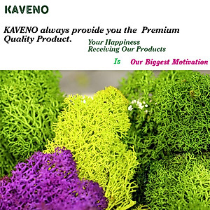 Moss Preserved, Green Moss for Fairy Gardens, Terrariums, Any Craft or Floral Project or Wedding Other Arts (Green, 3OZ)