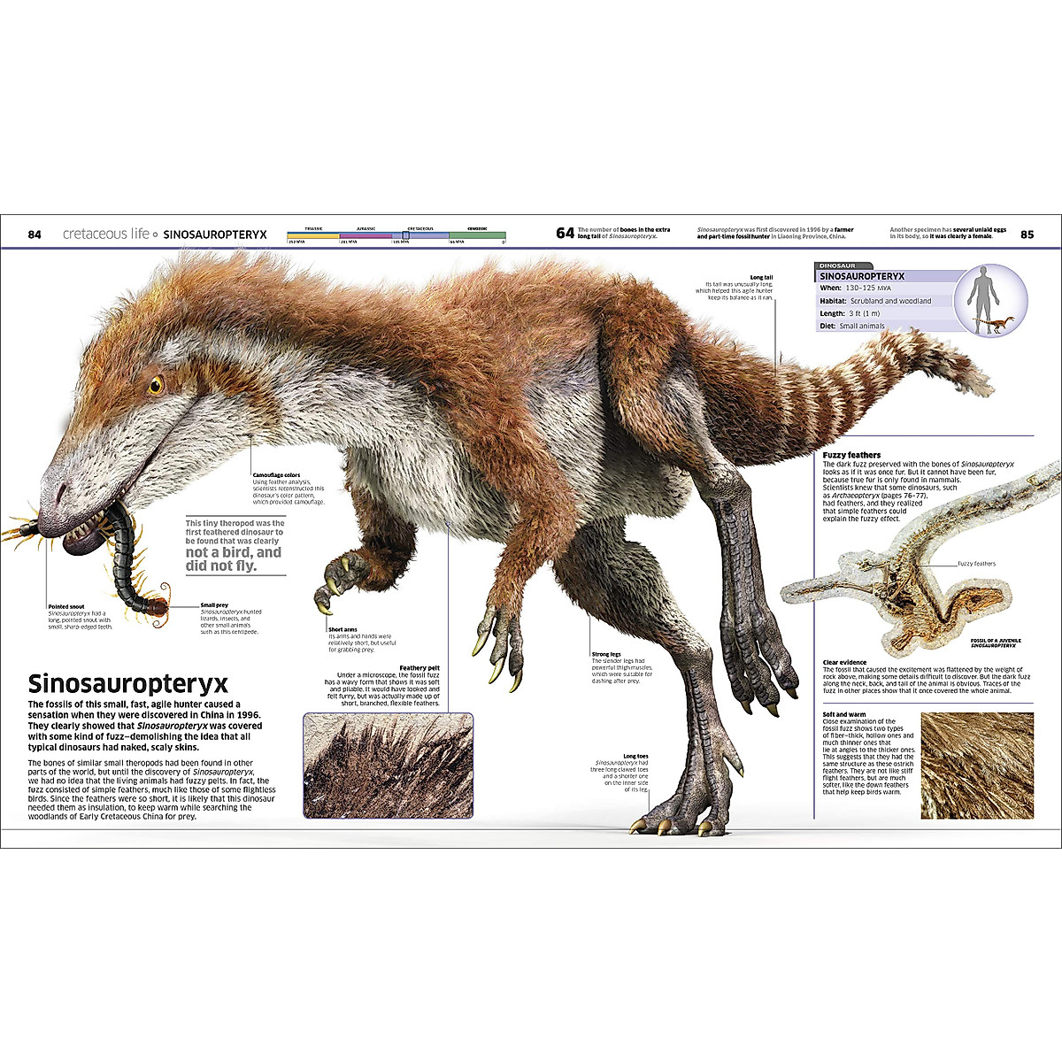 Knowledge Encyclopedia Dinosaur!: Over 60 Prehistoric Creatures as You've Never Seen Them Before (DK Knowledge Encyclopedias)