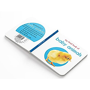 My First Complete Learning Library: Boxset of 20 Board Books Gift Set for Kids (Horizontal Design)