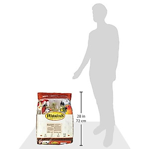 HIGGINS 466185 Higg Sunburst Food for Conure, 25-Pound