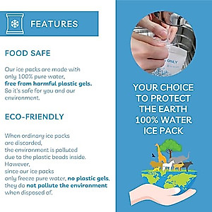 Insulated Lunch Bag with Zip Lock & Handle, Reusable Cool & Thermal Bags, Cooler Pouch, Hot & Cold, Ideal for Sandwich, Snack, Drink, Grocery, Camping (Medium_5 bags 9.8 x 11.0 inches + 5 Ice packs)