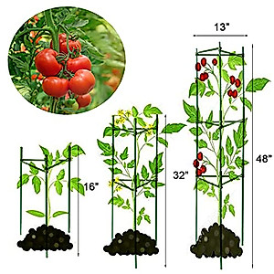 Tomato Cage, 3-Pack Garden Plant Support Tomato Cage, Garden Trellis for Climbing Plants, Plant Trellis Kits Plant Stakes & Support for Vertical Climbing Plants