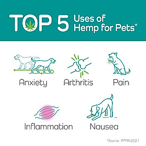 Vetality Calming Collar for Dogs, Separation Anxiety and Hip and Joint