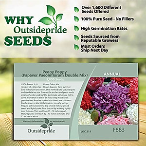 Outsidepride Papaver Peony Poppy Double Mix Garden Cut Flowers Great for Vases, Dried Arrangements - 5000 Seeds