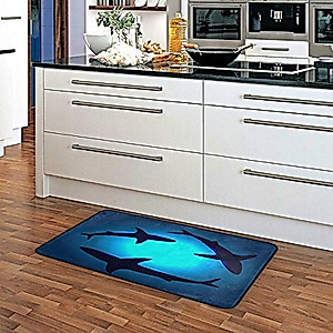 WELLDAY 39x20 Inch Area Rug Floating Sharks Door Mat Washable Non-Slip Throw Floor Carpet