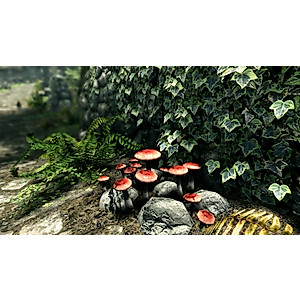 The Elder Scrolls V: Skyrim Special Edition - Xbox One (Renewed)