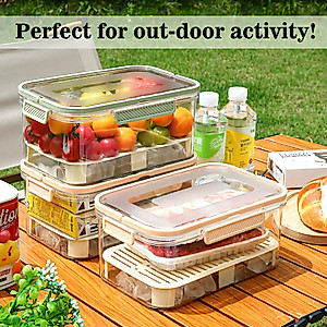 Ice Chilled Snackle Box Container with Ice Pack Portable Cooler Box with Lids & Handle for Camping Picnic Airtight Fruit Storage Containers for Fridge Berry Fresh Keeper for Meal Veggie Snack,Coffee