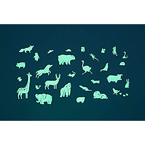 GLOPLAY Animal Series(29 pcs/Pack), Glow in The Dark Educational Wall Stickers, The Eco-Friendly and Brightest Wall Stickers for Ceiling, Bathtime, Bedroom, Party, Decor