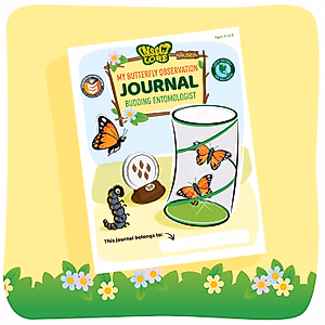 Insect Lore - Butterfly Growing Kit - With Voucher to Redeem Caterpillars Later