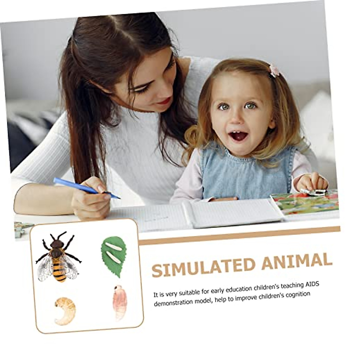 Yardenfun 1 Set Stag Beetle Growth Week Little Critters Toys Educational Toys for Kids Spider Toy Honey Life Cycle Models Growth Statue Bee Growth Cycle Plastic Honey Bee Life Cycle Models