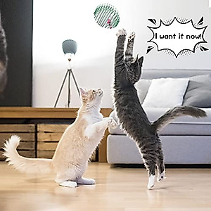 5 Pcs Cat Spring Balls Stretchable Cat Springs Toys Interactive Cat Toys Rolling Cat Balls Colorful Playful Coils Spring Action Toy Caged Rats for Kitten Cat Pet Supplies Indoor Play, Random Color