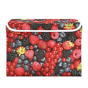 VIGTRO Large Collapsible Storage Bins with Lids Strawberry Berries Fruits, Storage Baskets Organizer Containers with Handles for Home Bedroom Office