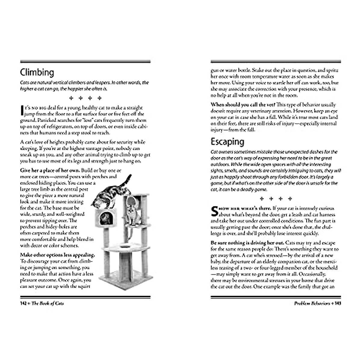 The Book of Cats: House Cats, Big Cats, Black Cats, Poetic Cats: History, Breeds, Tricks, Trivia, Stories, and More!