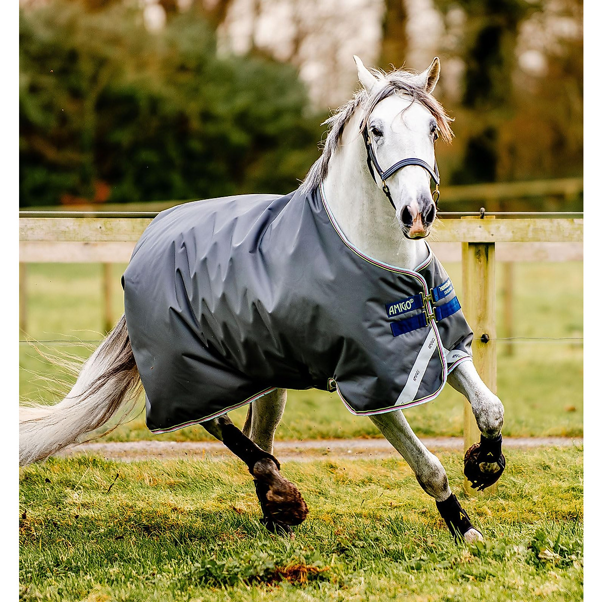 Horseware® Amigo® Bravo 12 Original Turnout Horse Blanket (100g Light)
