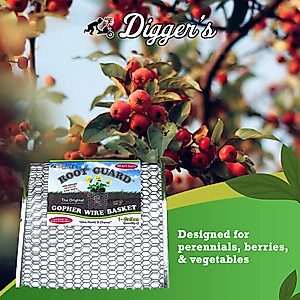 Digger’s 1-Gallon Heavy-Duty Wire Basket - Gopher Wire Basket for Perennials & Vegetables (12 Baskets)