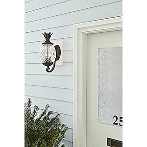 Acclaim 7501BC Lanai Collection 2-Light Wall Mount Outdoor Light Fixture, Black Coral