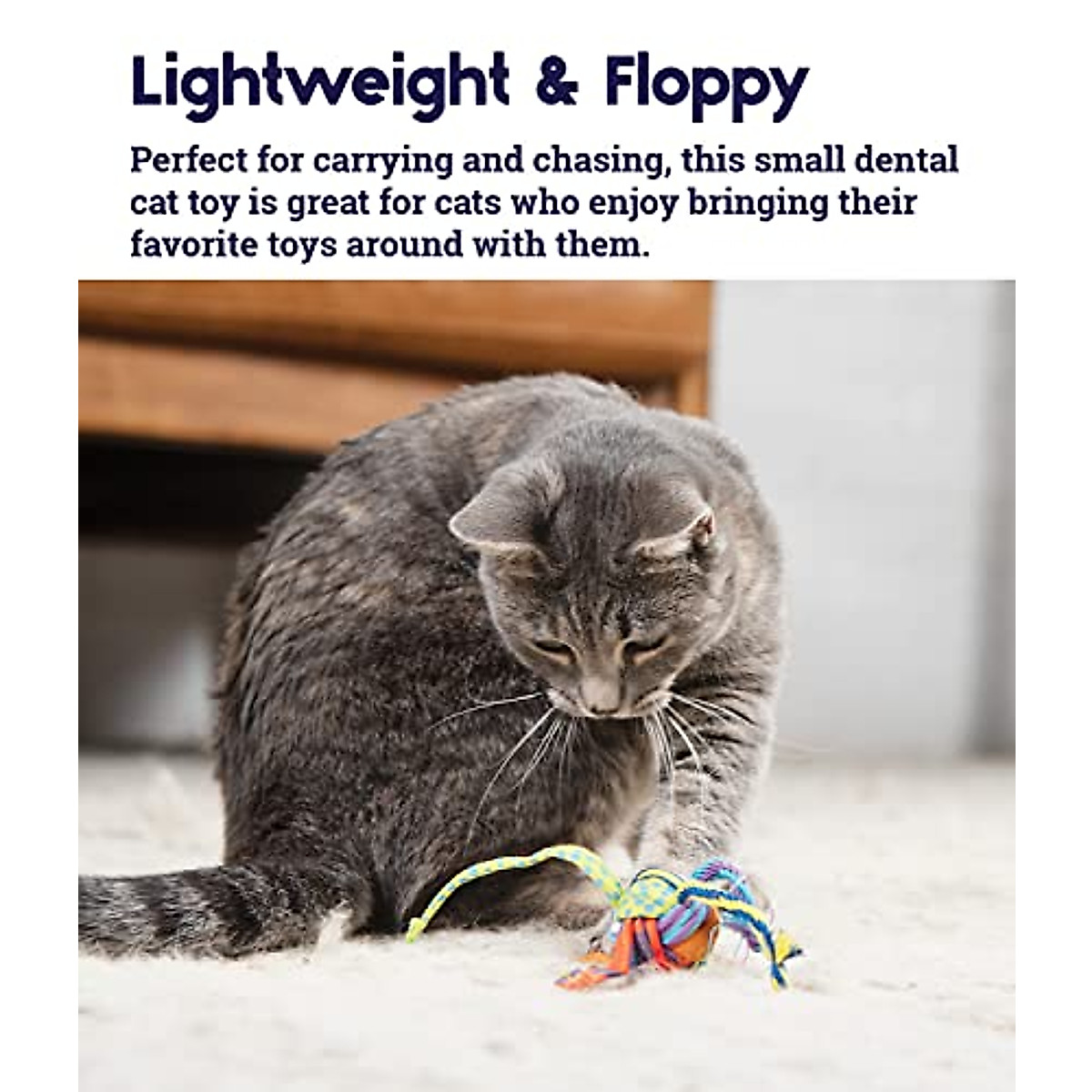 Petstagesreg; Tons of Tails