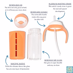 Tabor Place Glass Sippy Cup for Toddlers - The Luca | Spill-proof | Silicone Straw | Indigo Purple | 8 oz | Liquids Never Touch Plastic | Removable Handles