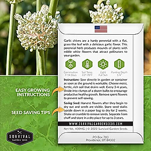 Survival Garden Seeds - Garlic Chives Seed for Planting - Packet with Instructions to Plant and Grow Delicious Perennial Herbs in Your Home Vegetable Garden - Non-GMO Heirloom Variety