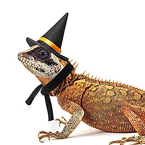 Rypet Bearded Dragon Halloween Costume - Lizard Wizard Hat with Scarf Halloween Costumes Set for Bearded Dragon Halloween Party