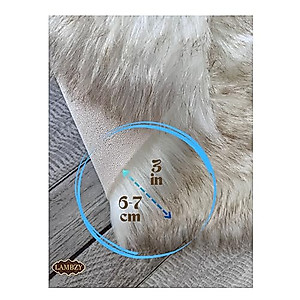 LAMBZY White Brown Tips Faux Fur Rug 3’6”x5’6” Bedroom Wool Rug Soft Hypoallergenic Carpet Large Silky Shag Area Rug Washable Rug Soft Furry Rug Luxury Rug for Home Decor Sofa Living Room Kids Room
