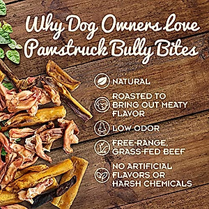 Pawstruck Natural Bully Bites, Value Pack 8 oz. Dog Chews for All Breeds, Low Fat and High Protein Dental Sticks for Dogs, Digestible Rawhide Alternative, Odorless Bully Sticks for Small Pups