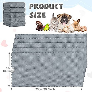 Reginary 10 Pcs Guinea Pigs Blankets Hamster Fleece Cage Liners Coral Fleece Quick Dry Soft Blankets Bedding Guinea Pig Accessories for Cat(14 x 30 Inch,Gray)