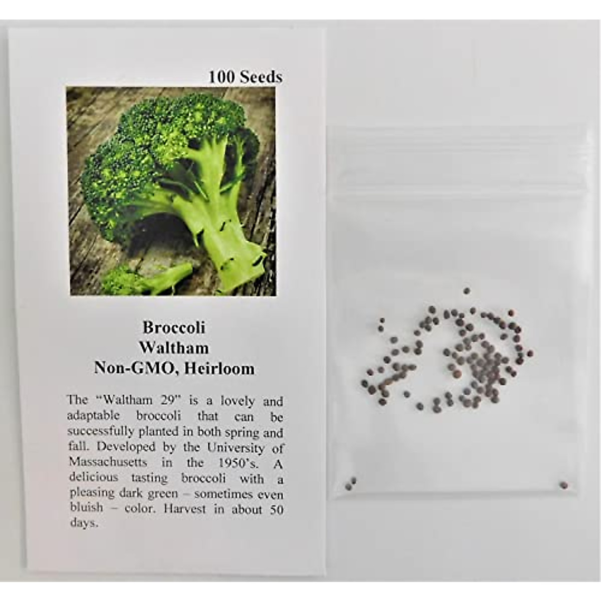 David's Garden Seeds Broccoli Waltham FBA-6339 (Green) 50 Non-GMO, Heirloom Seeds