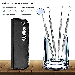 Dental Tools by Blizzard - Plaque Tartar Remover for Teeth - Professional Dental Hygiene Cleaning Kit 4-Pcs, German Stainless Steel Oral Care Set with Dental Pick, Mouth Mirror, Travel Case